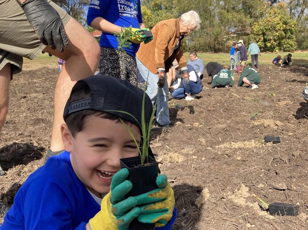 Council to plant 4,000 natives this National Tree Day - Council